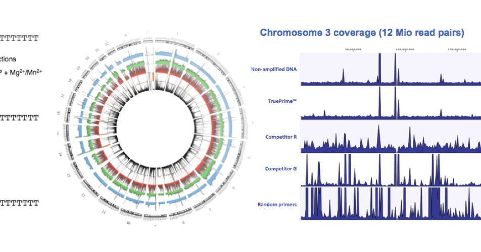 CoreGenomics: Whole genome amplification improved