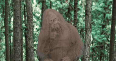 Jack Links Sasquatch Gif
