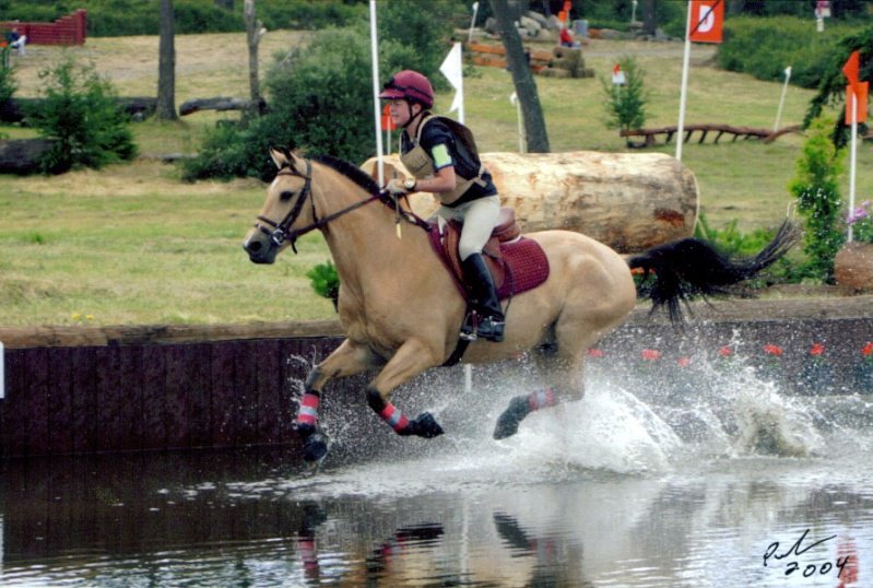 Horse Riding: The equestrian disciplines