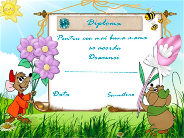 EDUCATIA CONTEAZA : DIPLOMA 5