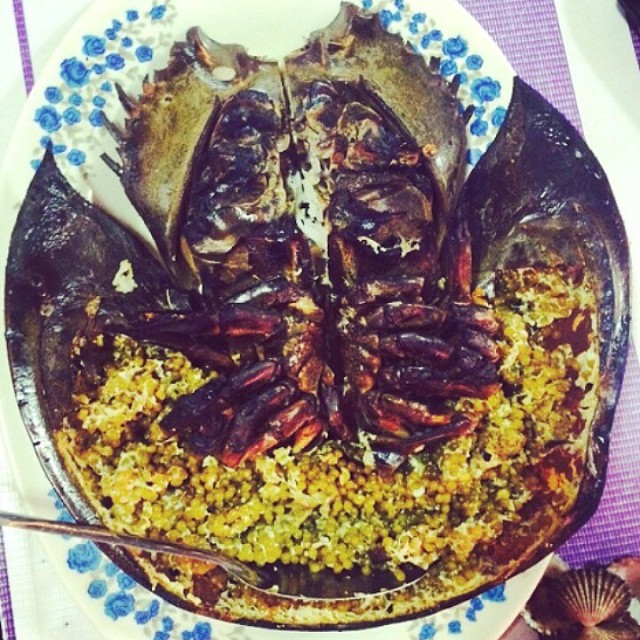 Hal dunia: Gambar Belangkas