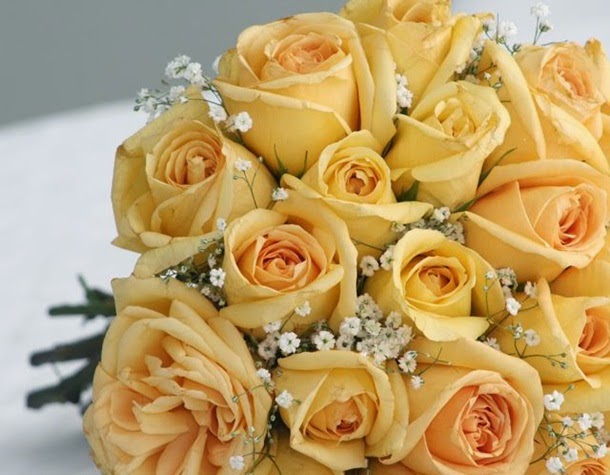 Best Roses (26 Photos) | Your Dekstop