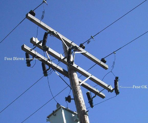 Dispatch from the Digital Health Frontier: Unity Farm Journal - Second ...