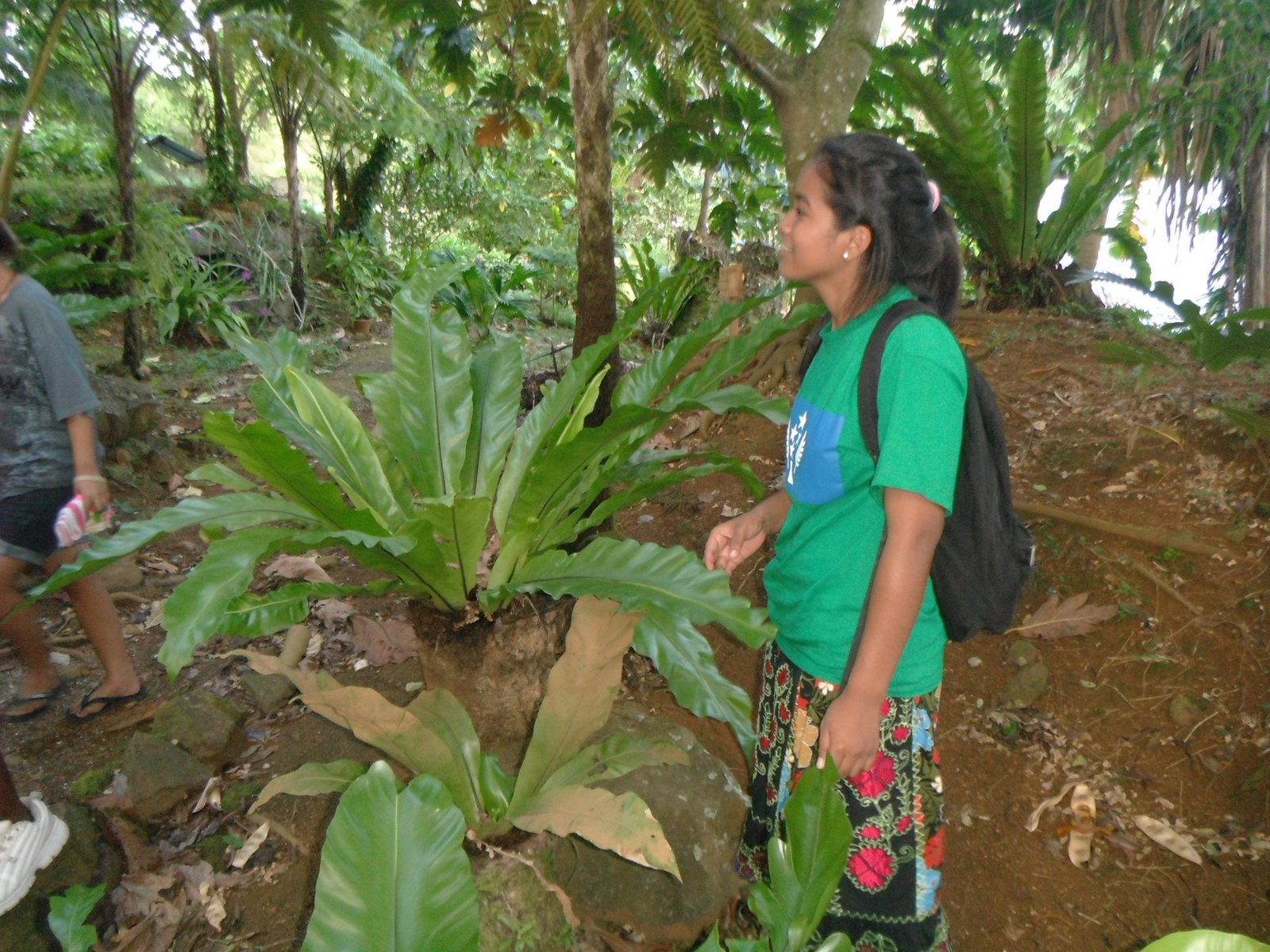 Pohnpei Traditional Plants Garden