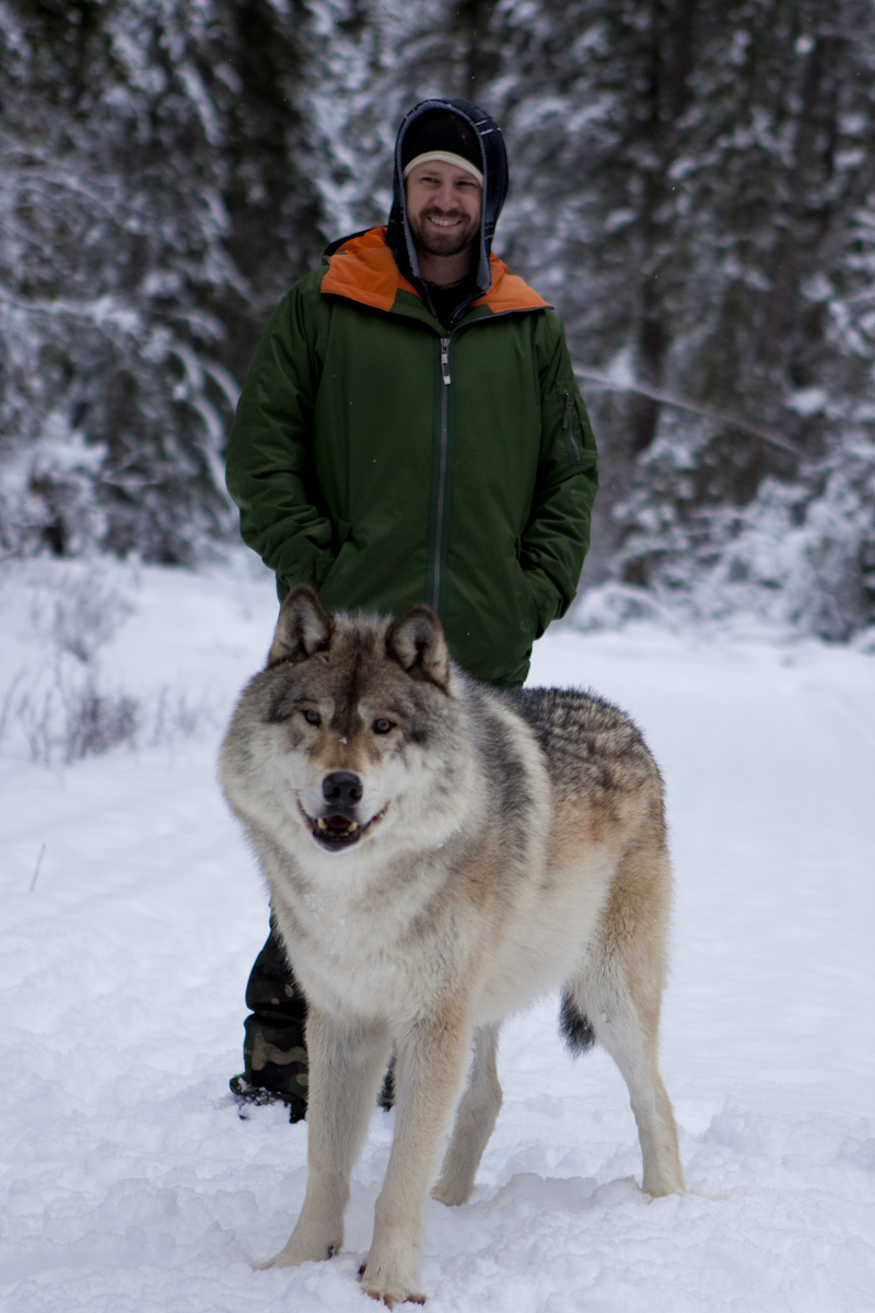165 days in Canada EH !: Day 140 - Walking with the Wolves