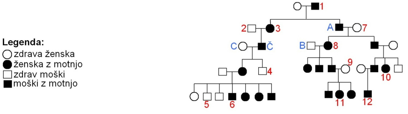 Dedne lastnosti pri človeku: 4. stran - Polidaktilija