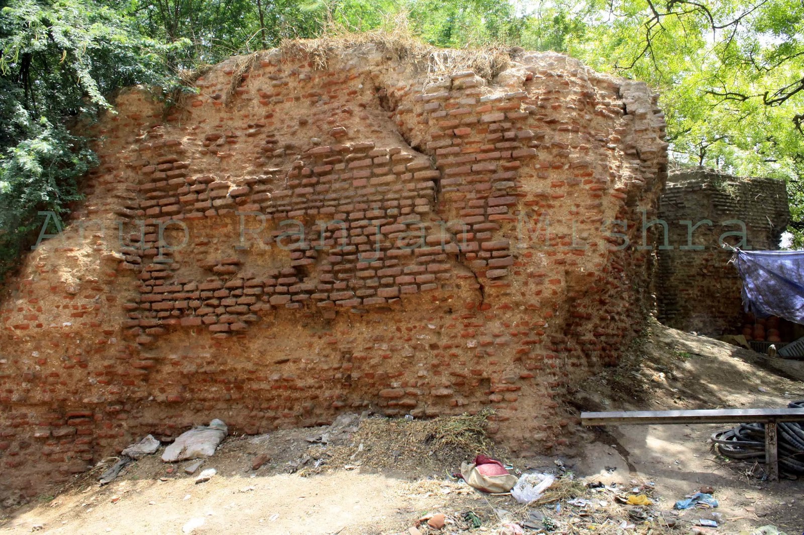 Save Ancient Indian Sites: 5. Mathura: Piecing together the Vestiges of ...