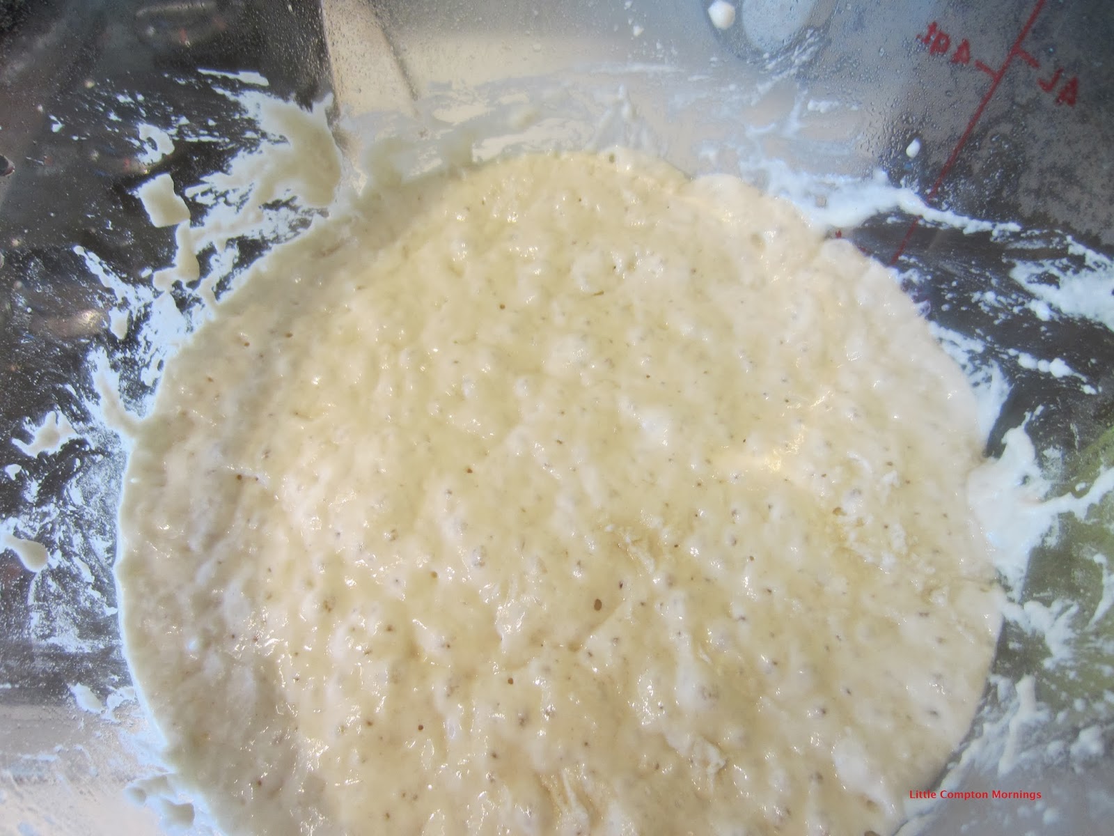 Little Compton Mornings: More Bread: Poolish Makes Perfect