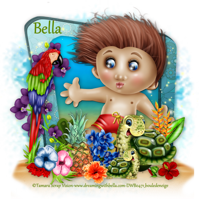 MON MONDE EN PSP: TAGS AND SCRAPKITS PTU 353