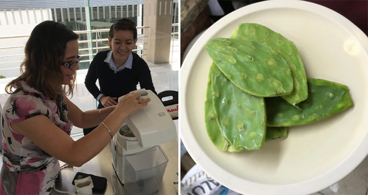 Mexican Researcher Creates Plastic From Cactus That Is Biodegradable ...