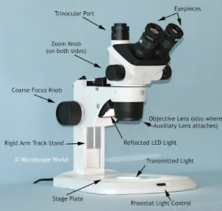 Microscope World Blog: Increasing Microscope Magnification