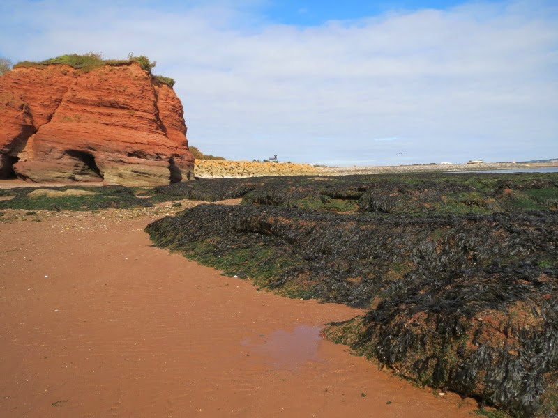 JSBlog - Journal of a Southern Bookreader: Langstone Rock - to the ...