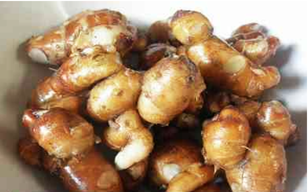 HERBAL MUJARAB SANO DAN FIDES: MANFAAT KENCUR