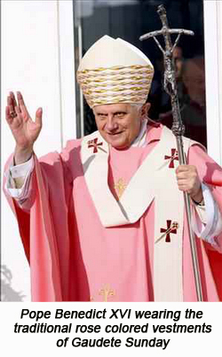 island life- in a monastery: BIRDS and REJOICING