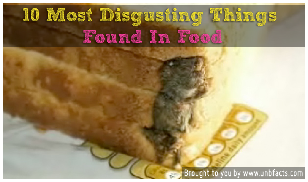 Most Disgusting Things Ever Found In Food. ~ brainexplor