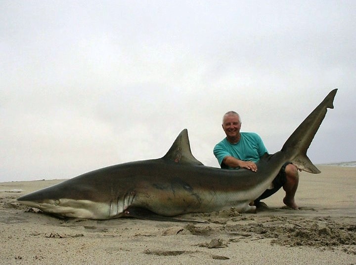 Namibia Sport Fishing : Shark Fishing in Namibia