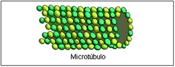 Blog de Biologia: Citologia III