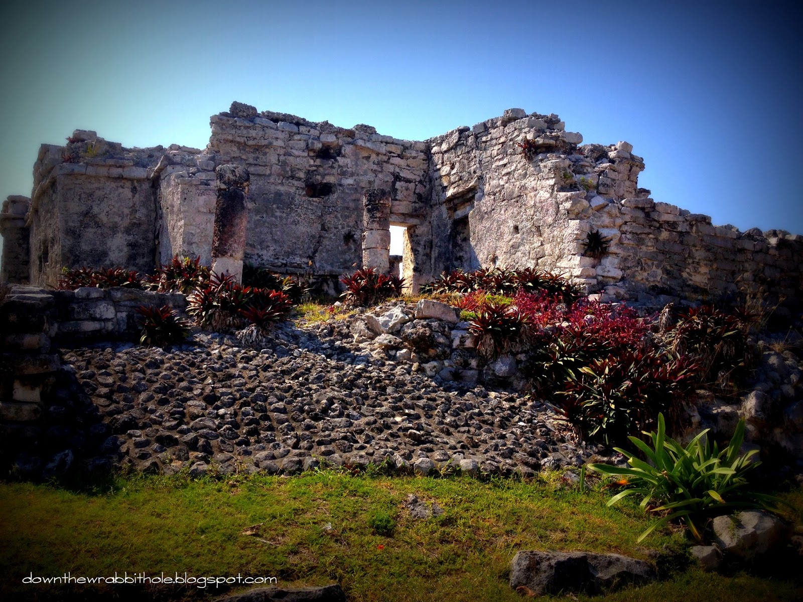 Down the Wrabbit Hole - The Travel Bucket List: Trekking Through Tulum ...