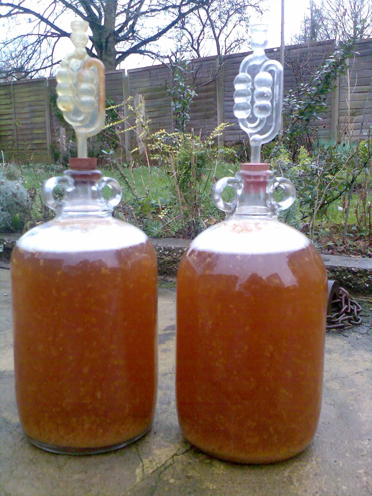 Ben's Adventures in Wine Making: Prune & Parsnip Wine 2018 - The Making ...