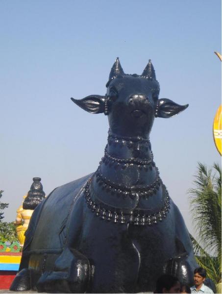 DEV Infoline | Your One Stop Travel Destination....: kotilinga