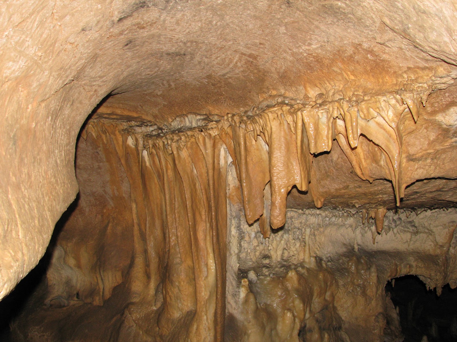 A lo bouzo: Cueva de Pando [Ribadesella]