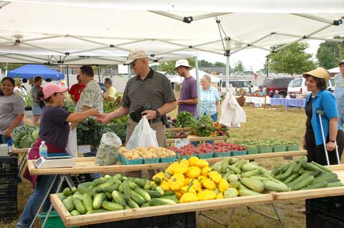 Chester Village Green News: Farmers' Market Reopens