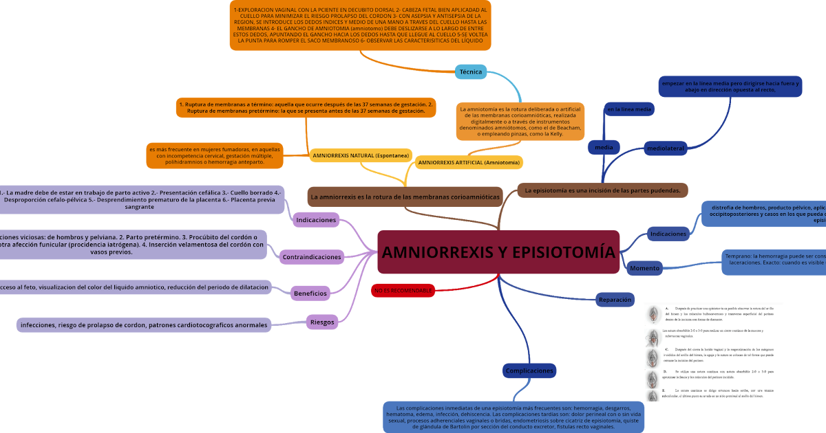 Tarea17- Aminorrexis y episiotomía
