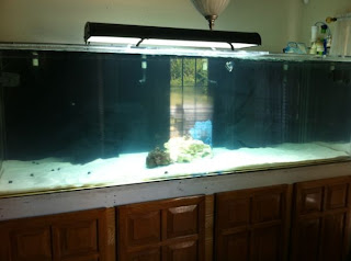 Giant Aquariums: 400 gallon aquarium - $3000 (Owasso)