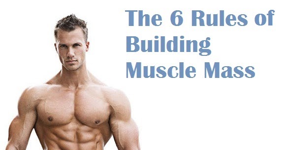 Muscle Palace: The 6 Golden Rules of Building Muscle Mass (Skinny Guys Too)