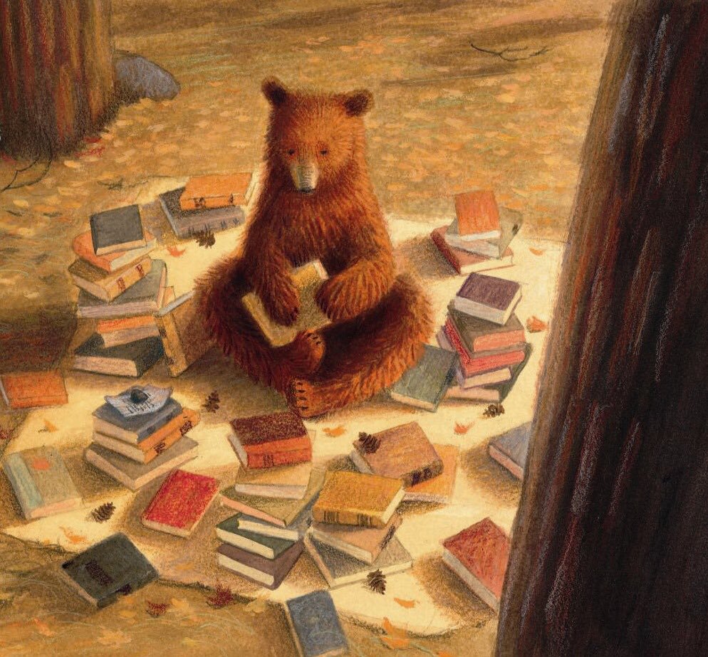 EL OSO QUE AMABA LOS LIBROS: ¡Un hermoso cuento que inculca el amor a ...