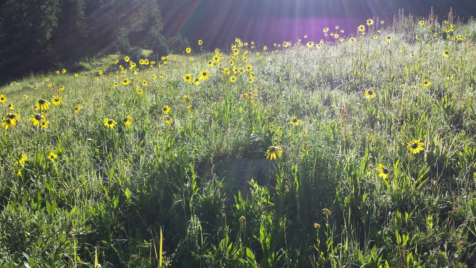 Becky's Hiking Adventures: COMPLETED: Maroon Bells Four Pass Loop ...