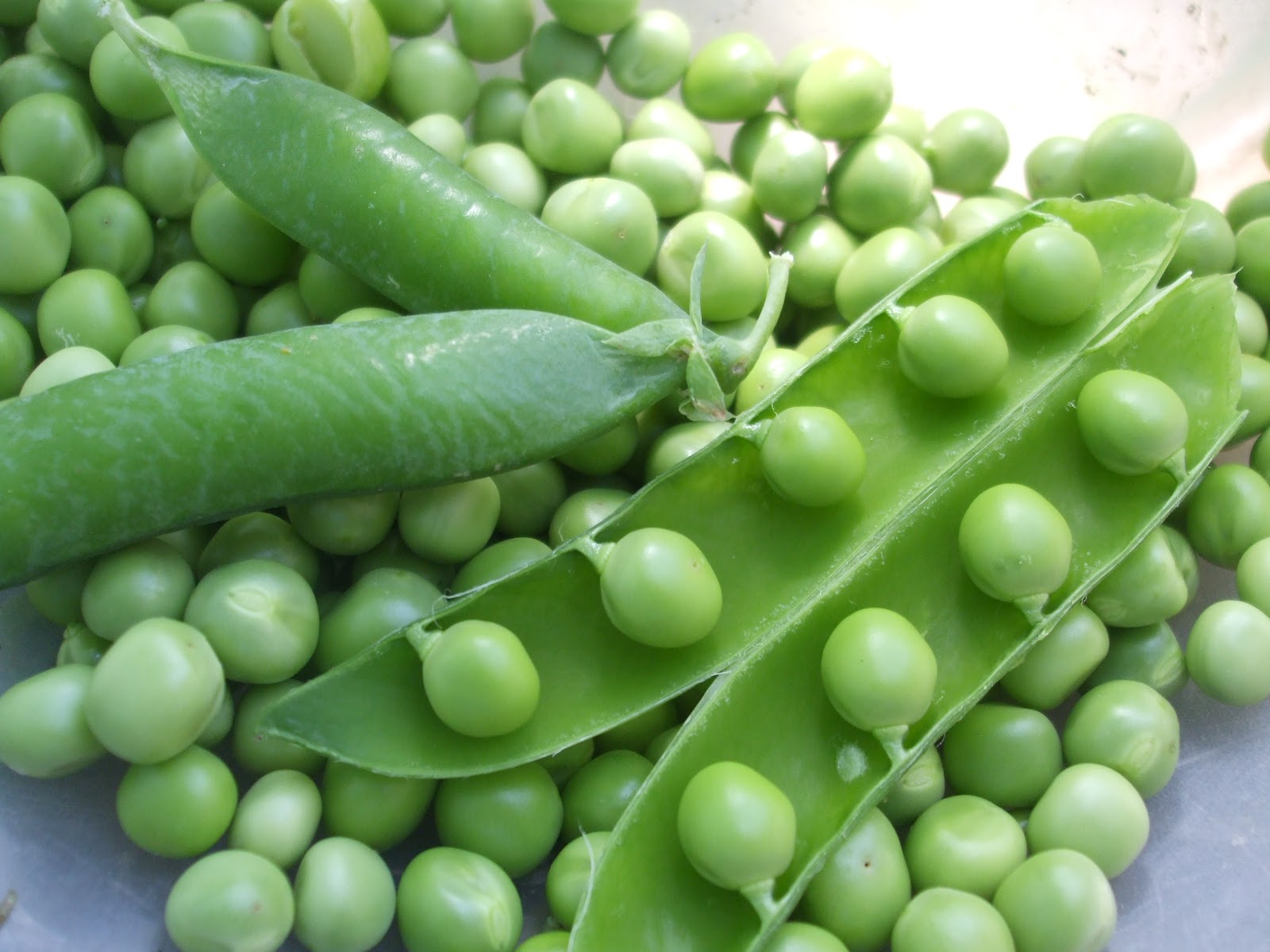 dulceața de acasă: Din bogatia naturii - MAZAREA VERDE