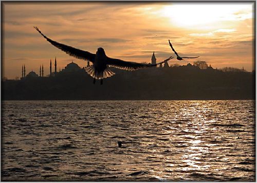 DENİZ RESİMLERİ-Manzaralar