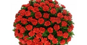 Aranjamente Funerare: Ce flori alegem pentru inmormantare?