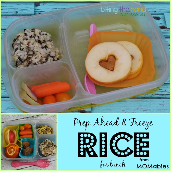 Biting The Hand That Feeds You: MOMables Monday - Using Frozen Rice for ...