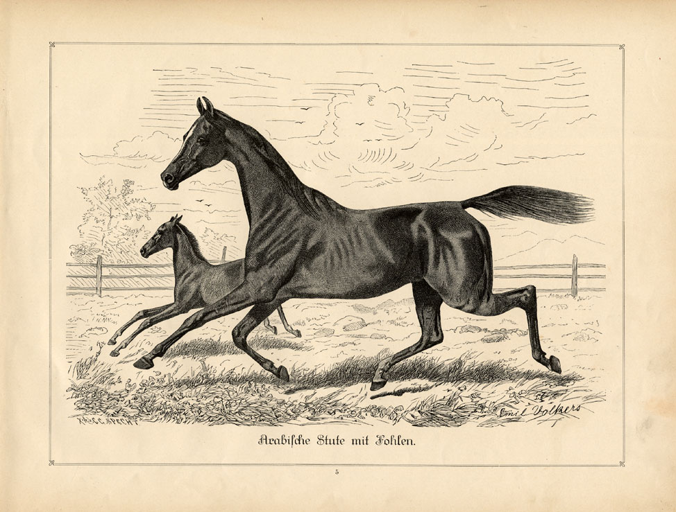 The Circus "NO SPIN ZONE": 08/10/11