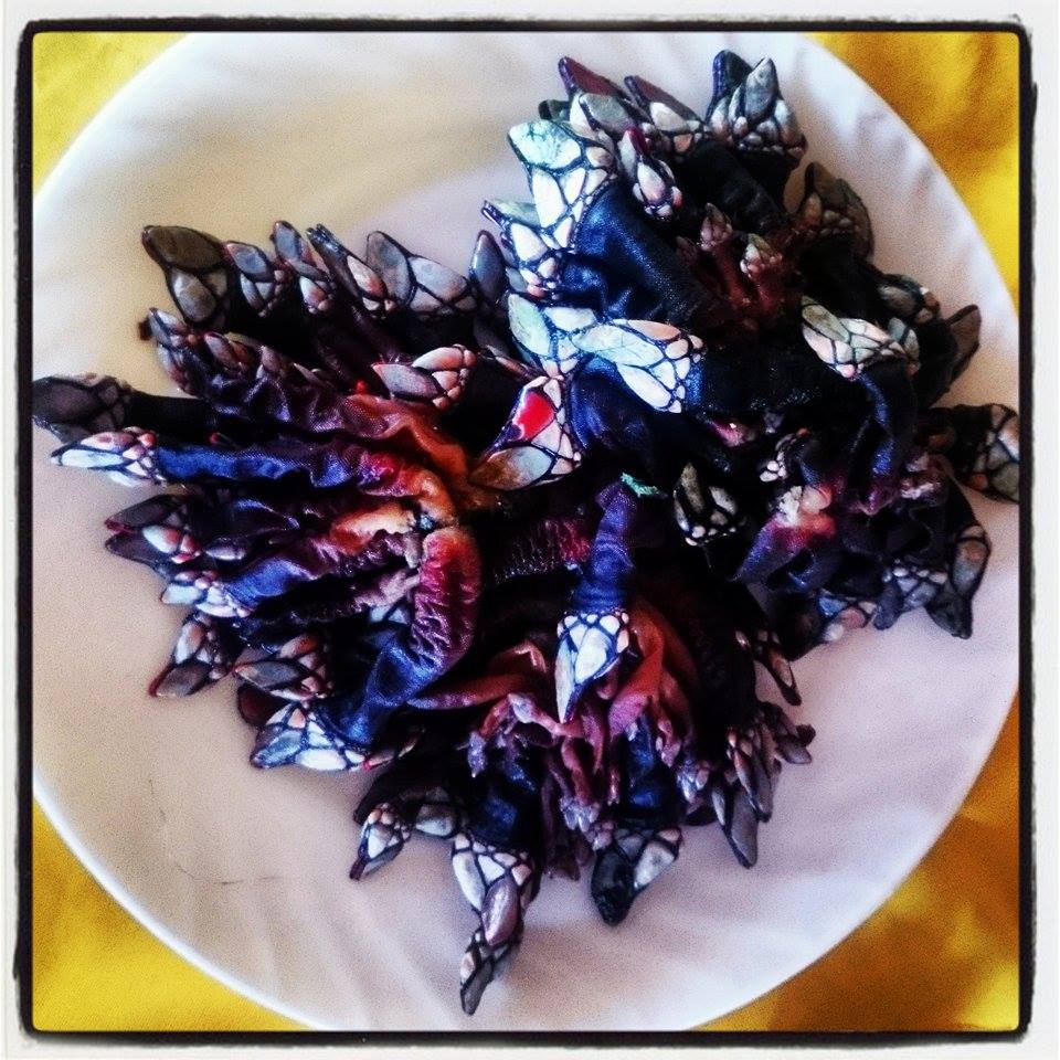 Ecuador Travel Guide: Ecuador's Weirdest, Wildest Seafood - Percebes ...