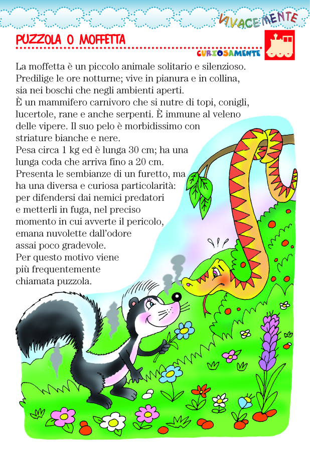 VIVACEMENTE il giornalino del cuore e della mente: La puzzola ...