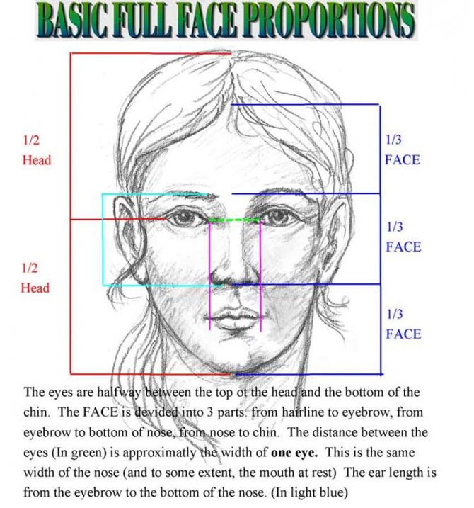 Observational Drawing: Facial Proportion Notes- April 6, 2017