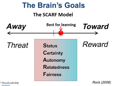 Cj's Instructional Systems Design Blog: The Brain - Yesterday and Today