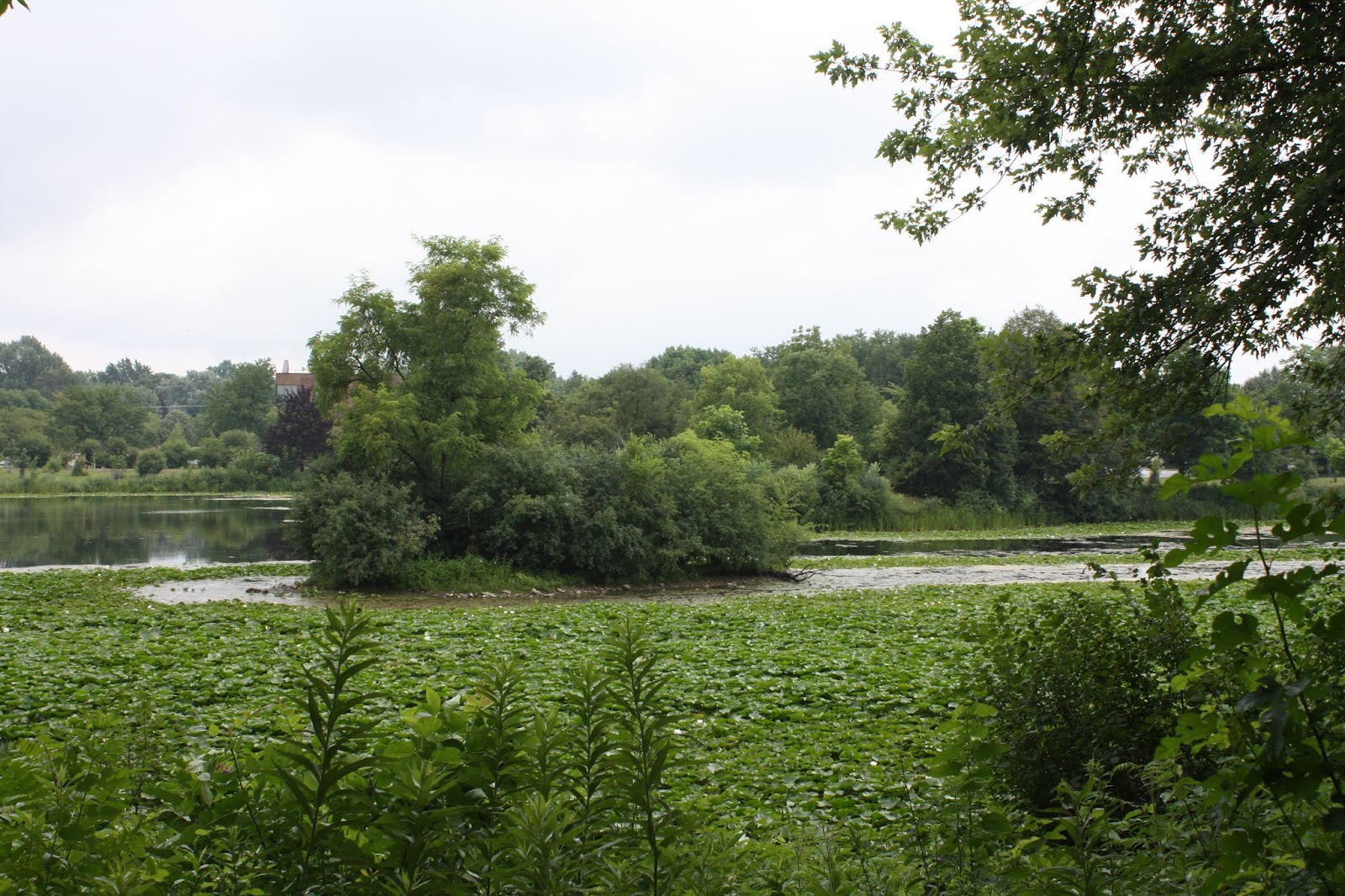 A Little Time and a Keyboard: Wandering Through Nature at Lake ...