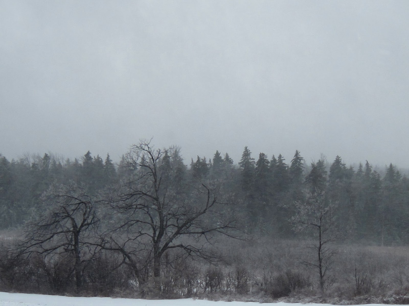 RavenWood Forest: Inspiration