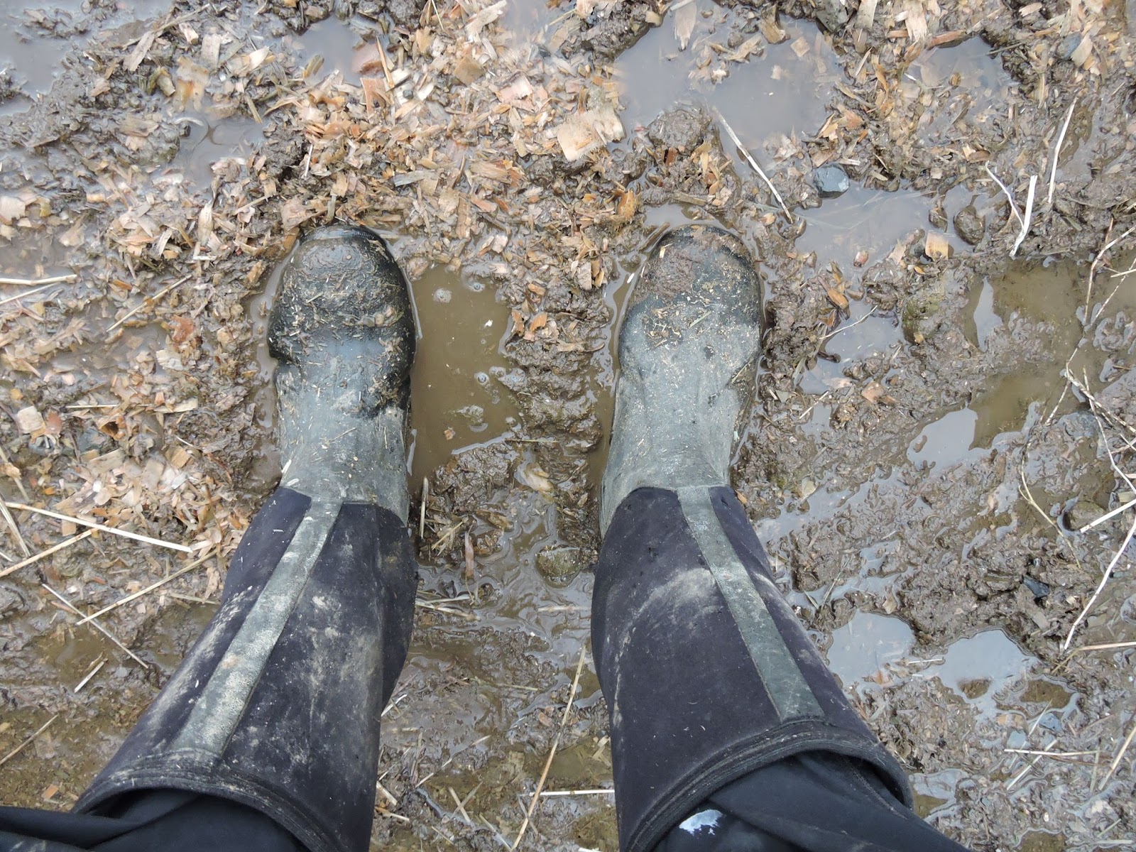 A Little Mud On The Tires