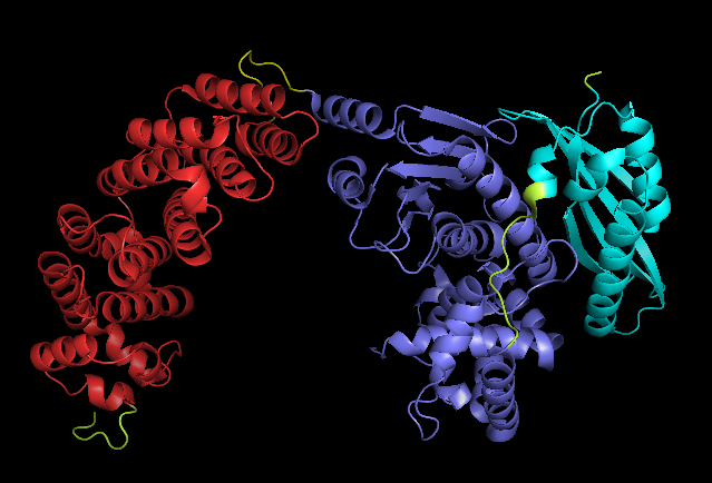 Structure of Collagenase G and Mechanism of Bacterial Collagenolysis ...