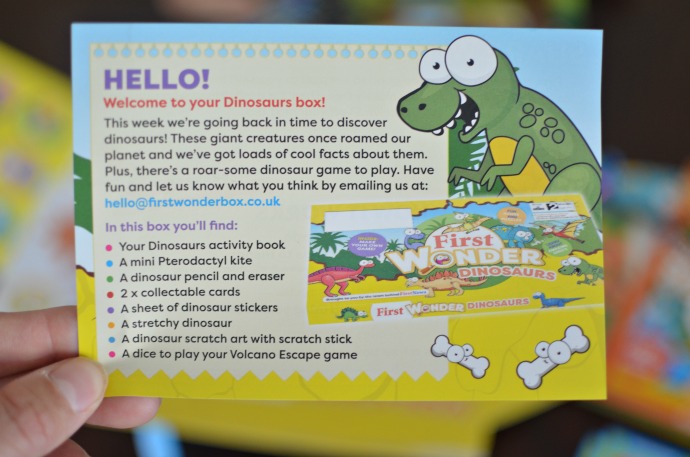 The Adventure of Parenthood: First Wonder Box Review