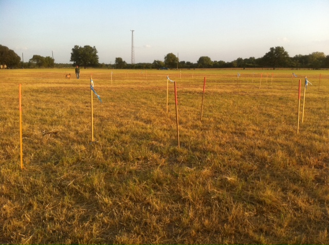 Macey House Project 2011-12: July 20 - Utility Poles / House Staked