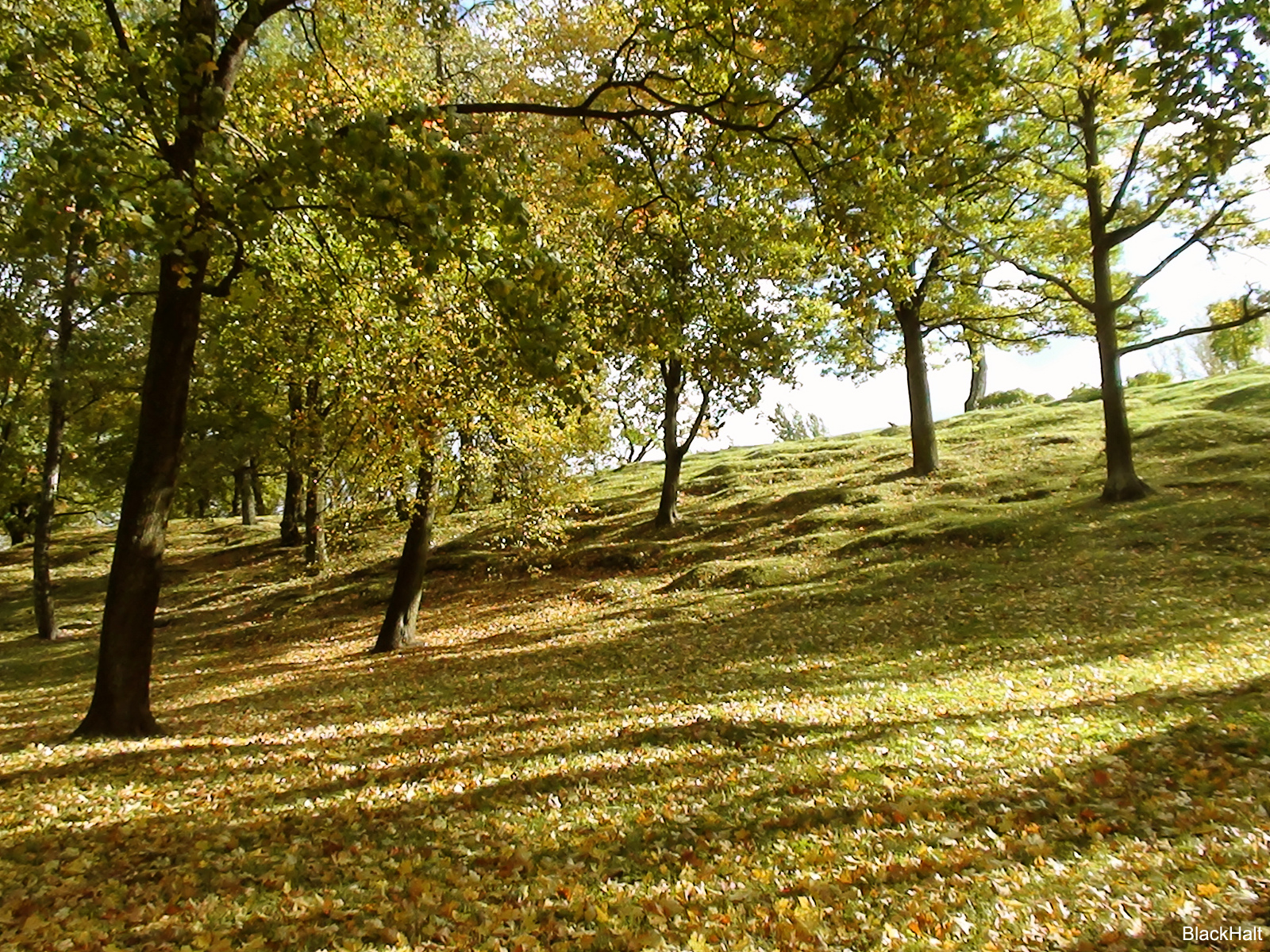 Rudens #1 - PhotoBlogSite