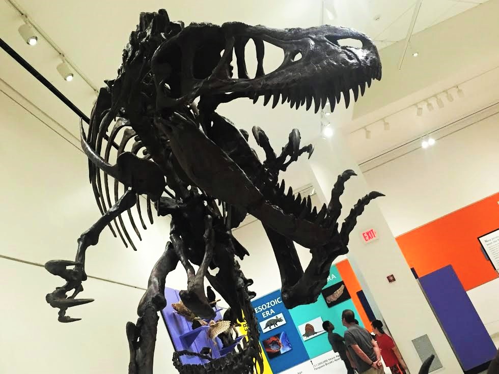 Prehistoric Beast of the Week: Visiting the New Jersey State Museum ...