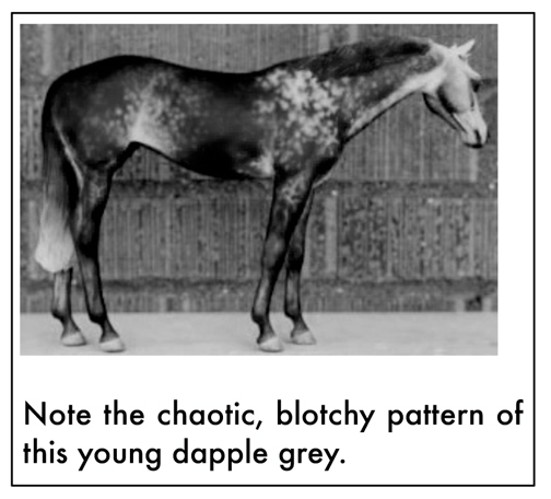 Musings at Minkiewicz Studios LLC: Dazed By Dapples: Tips for Painting ...