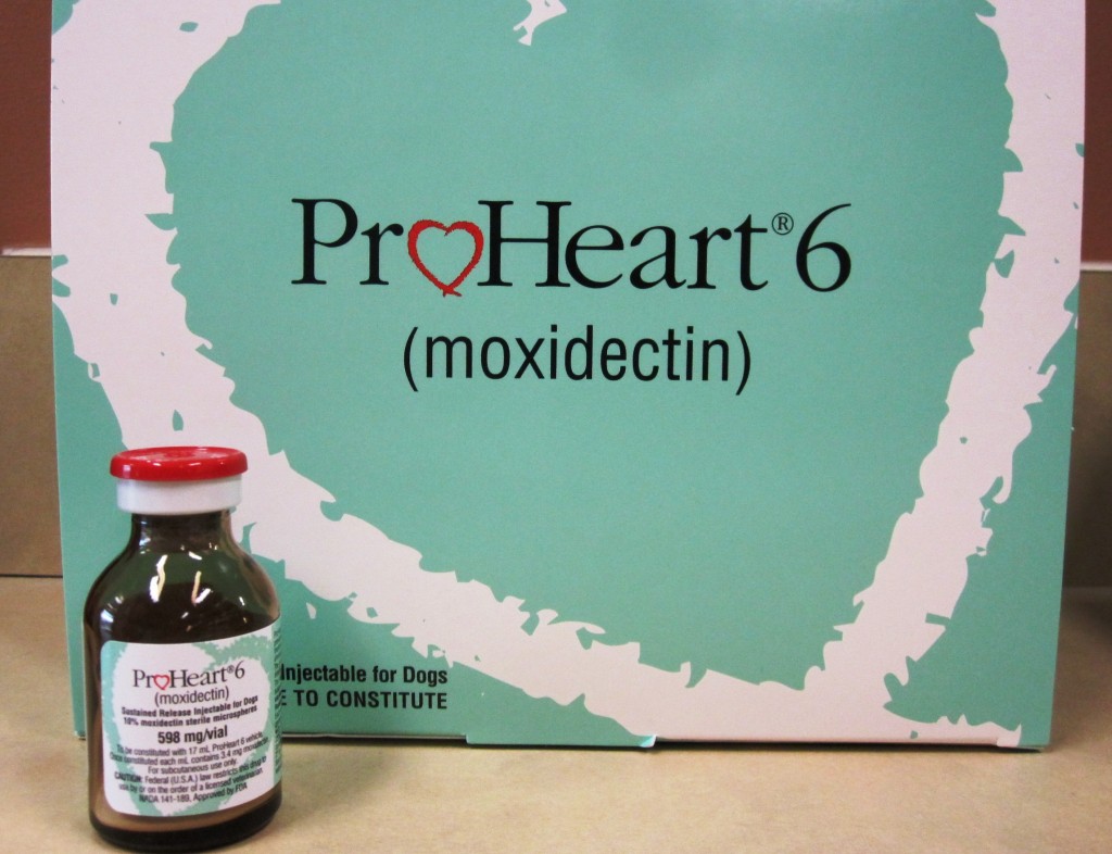 Parrish Creek Veterinary Clinic Blog: Heartworm Protection all Year